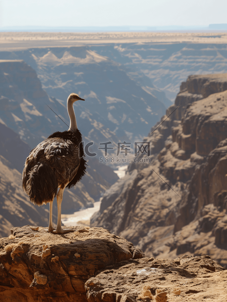 鸵鸟鱼河峡谷纳米比亚非洲高清摄影大图-千库网