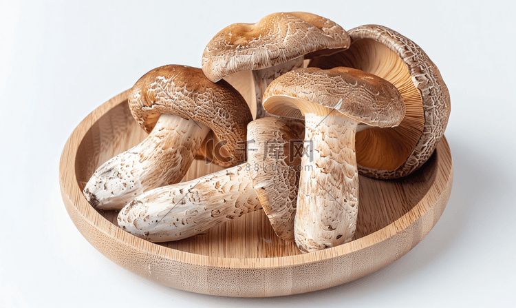 木圆盘中的干森林牛肝菌高清摄影大图-千库网