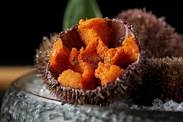 日料生鲜海胆刺身高清摄影大图-千库网