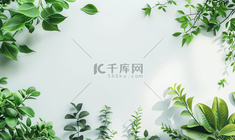 具有树叶和植物的审美绿色背景高清摄影大图-千库网