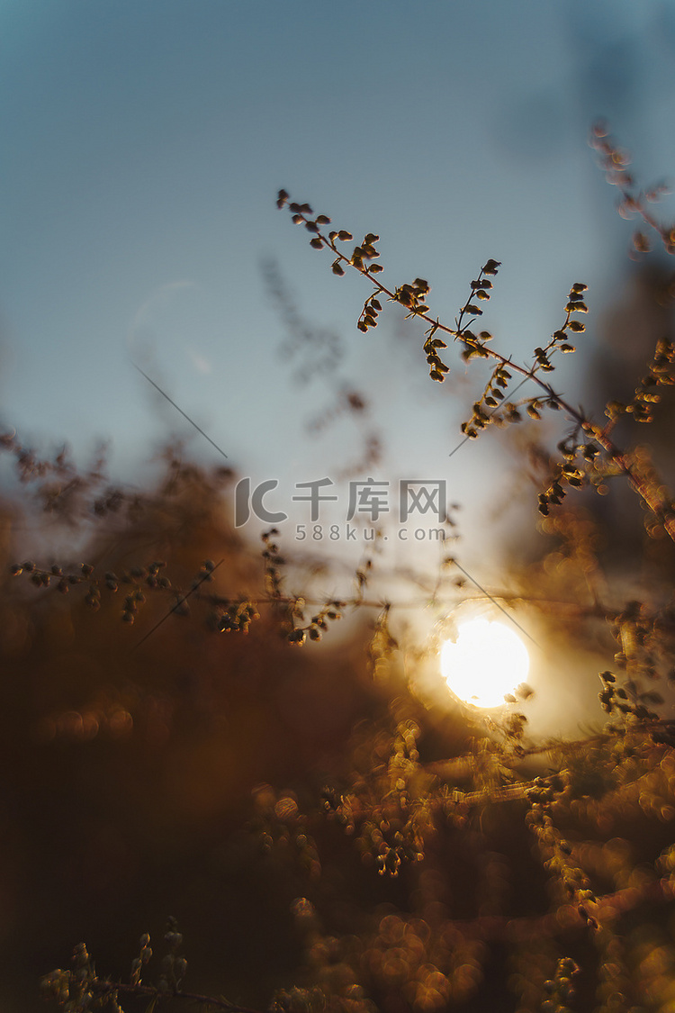秋季户外晚安创意图片高清摄影大图-千库网
