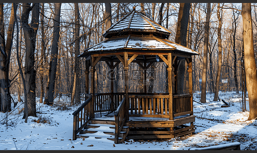 阳光明媚的冬日树林中的木制凉亭高清摄影大图-千库网