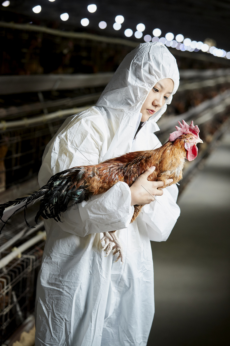 身穿防护服怀抱家禽的年轻女性饲养员高清摄影大图-千库网