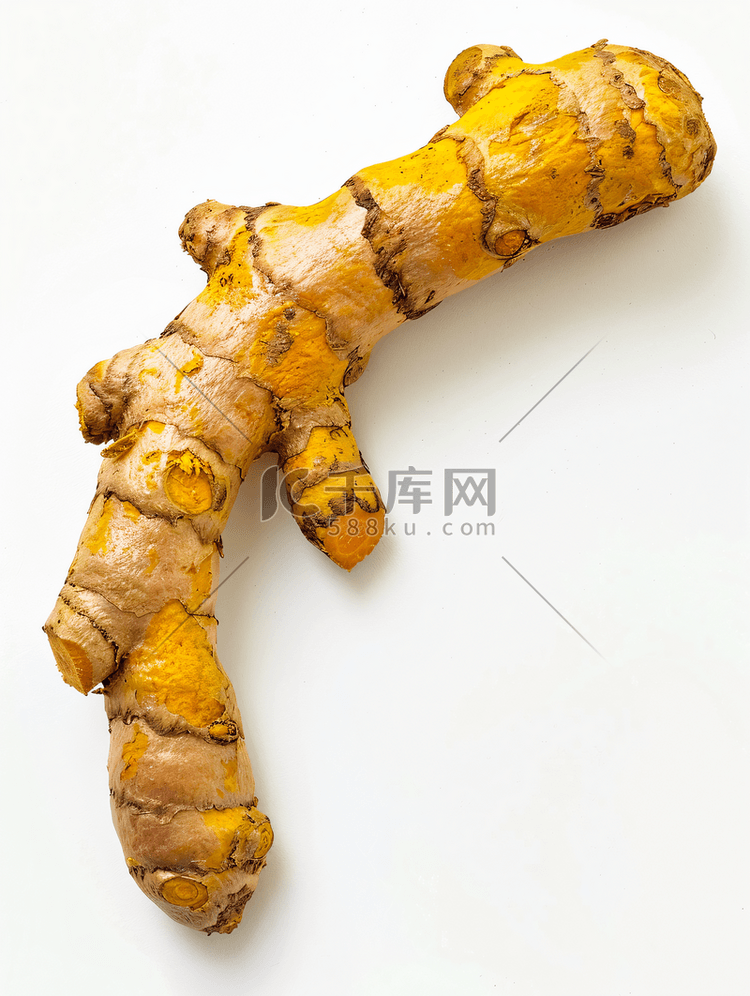 白色背景下分离的姜黄姜黄属植物根茎高清摄影大图-千库网