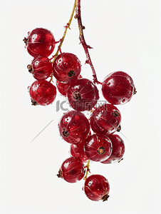 红醋栗浆果特写醋栗簇高清摄影大图-千库网