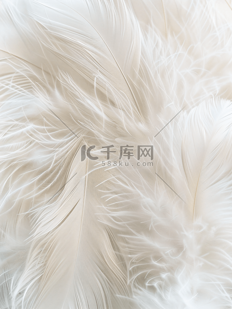 白色羽毛纹理白色羽毛纹理背景高清摄影大图-千库网