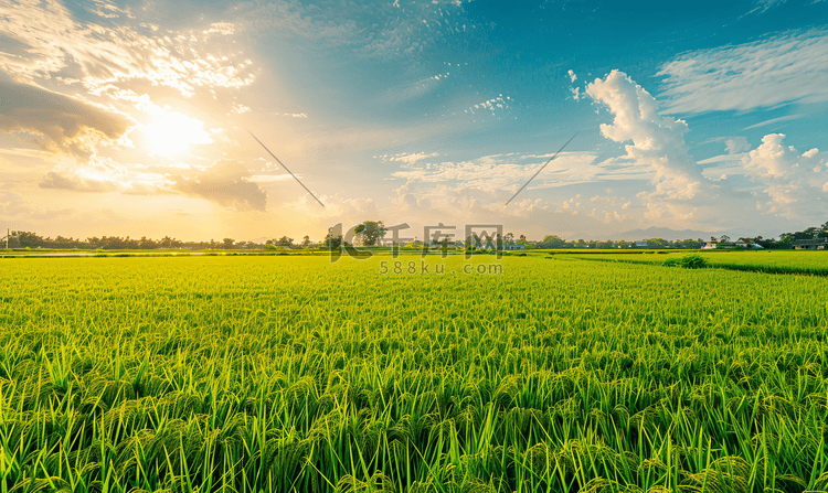 村庄里稻田和天空的美丽风景高清摄影大图-千库网