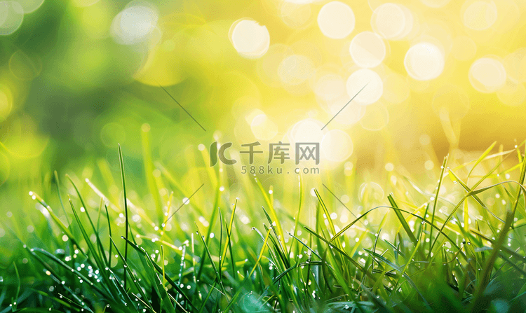 天然清新春绿草纹理背景特写高清摄影大图-千库网