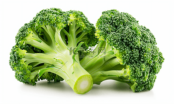 卷心菜图片-卷心菜素材-卷心菜模板图片下载-千库网