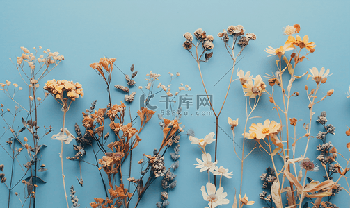 由干花制成的精美复古明信片高清摄影大图-千库网