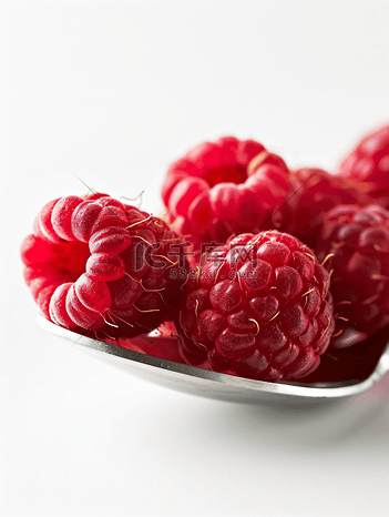 免费种植园图片-免费种植园素材-免费种植园模板图片下载-千库网