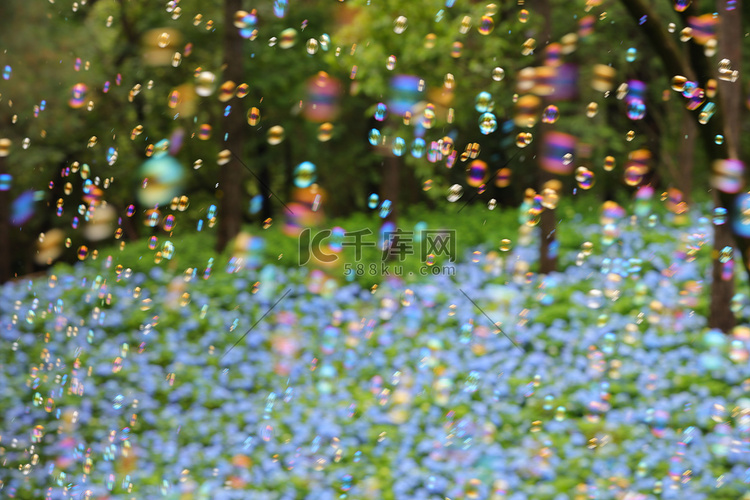 绣球花科绣球属无尽夏 绣球花花海高清摄影大图-千库网