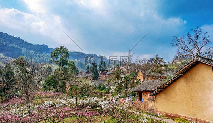 春日的蓝天白云下小山村农家院的房前屋后桃花盛开高清摄影大图-千库网