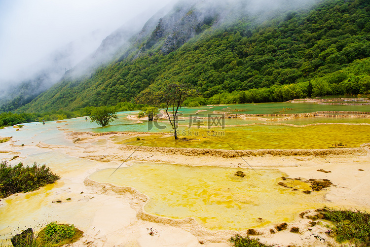 四川黄龙瑶池与云杉丛林高清摄影大图-千库网