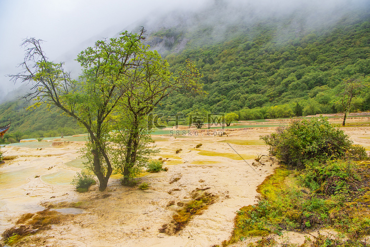 四川黄龙瑶池与云杉丛林高清摄影大图-千库网
