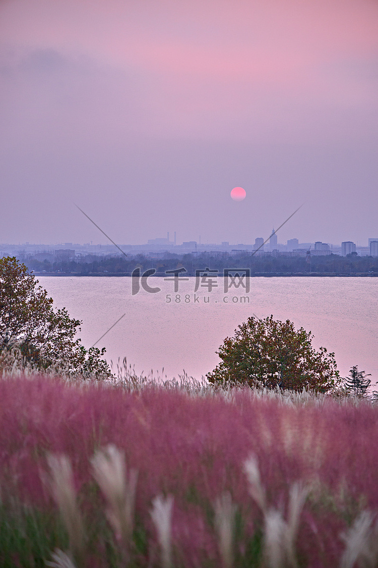 红水杉深秋迟暮初冬不晚落叶余晖高清摄影大图-千库网