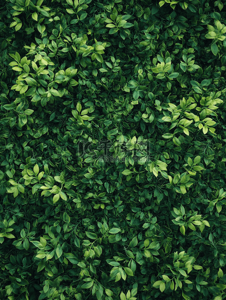 顶视图人造草背景纹理高清摄影大图-千库网