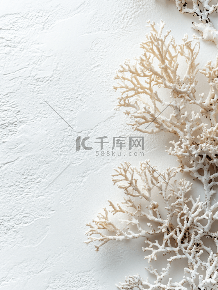 具有珊瑚枝和复制空间的天然纹理背景高清摄影大图-千库网