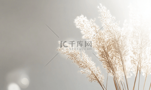 米色纹理光背景垂直高清摄影大图-千库网