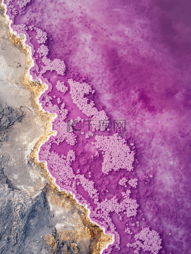 粉红湖水纹理涂有微藻杜氏盐藻高清摄影大图-千库网