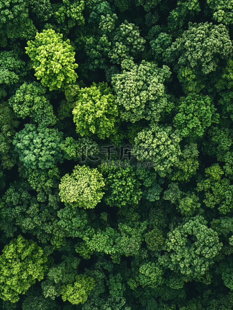 从自然山背景上方看森林景观的空中顶视图森林纹理高清摄影大图-千库网