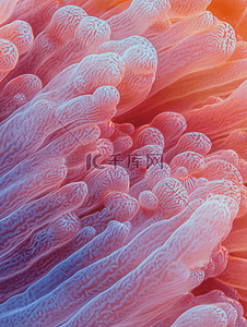 海葵宏观触角珊瑚的纹理高清摄影大图-千库网
