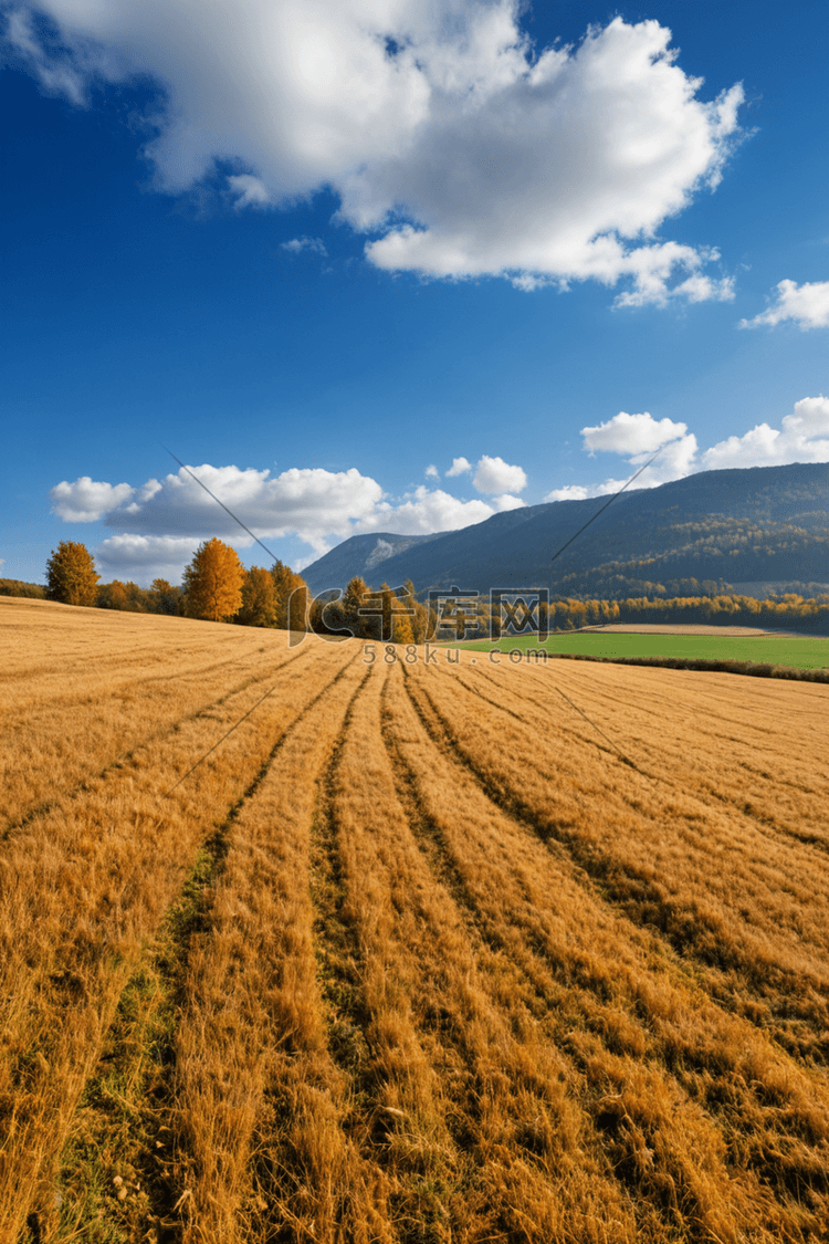秋天田野高清图图片高清摄影大图-千库网