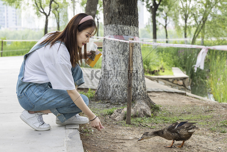 在公园里喂鸭子的甜美东方女孩高清摄影大图-千库网