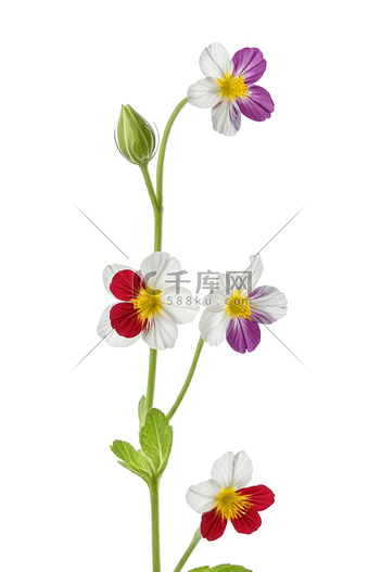 白色矩形图片-白色矩形图片素材-白色矩形模板图片下载-千库网