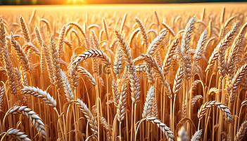 夕阳logo摄影照片-高清夕阳logo摄影照片下载-千库网