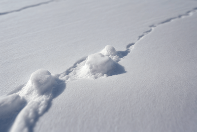 600*600图背景图片_600*600图背景素材图片_千库网