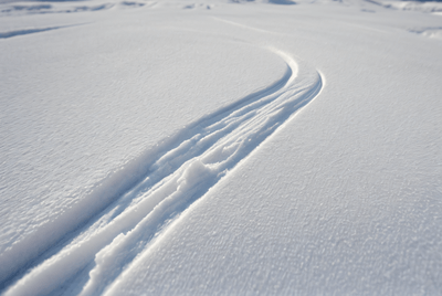 550w.bmp背景图片_550w.bmp背景素材图片_千库网