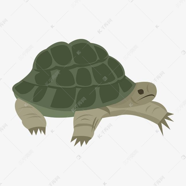 手绘爬动的乌龟插画素材图片免费下载-千库网