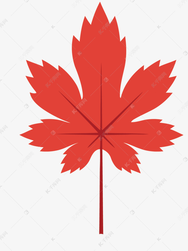 卡通枫叶矢量图下载素材图片免费下载-千库网