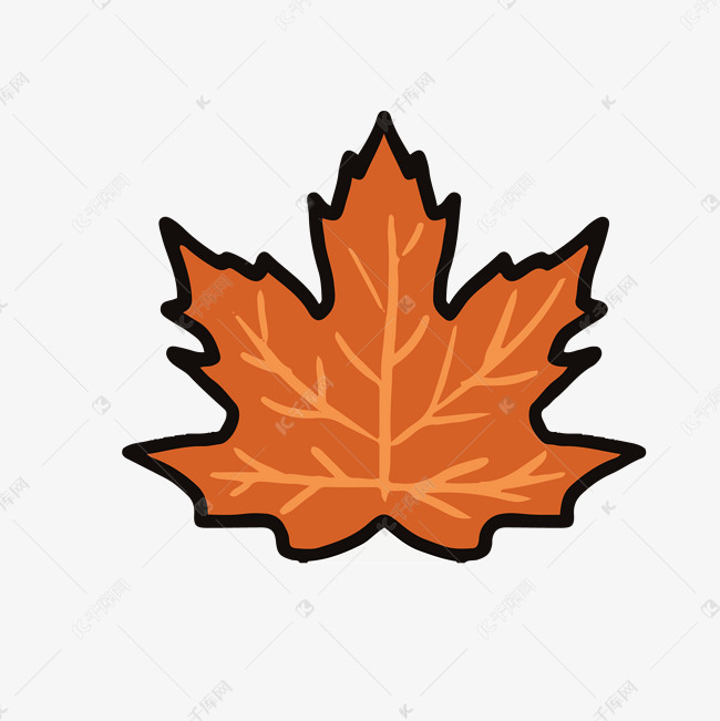 枫叶矢量插画PNG免抠素材图片免费下载-千库网