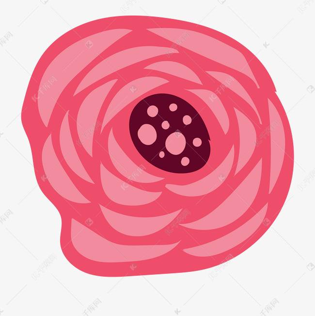 红通通的花朵免抠图素材图片免费下载-千库网