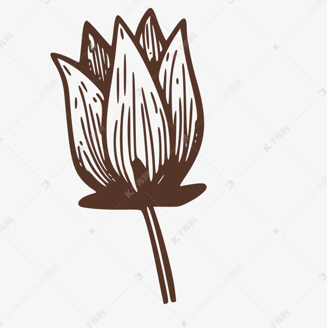 待开放的荷花素材图片免费下载-千库网