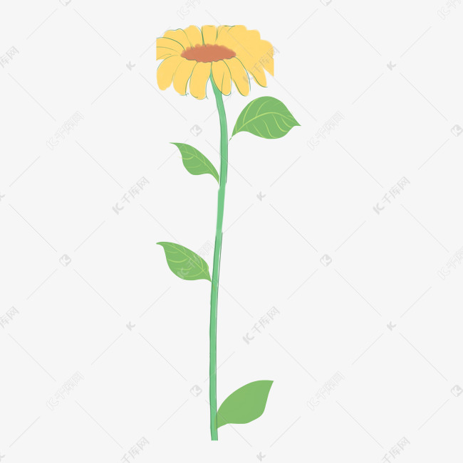 植物花卉向日葵素材图片免费下载-千库网