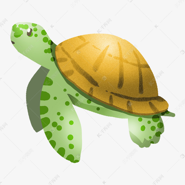 海洋乌龟插画素材图片免费下载-千库网