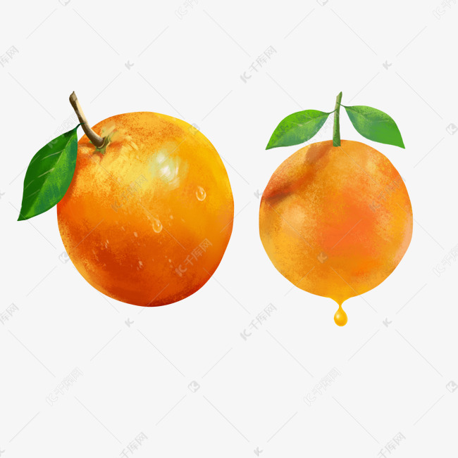 两个柳橙图片素材图片免费下载-千库网