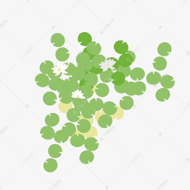 荷叶浮萍小白花素材图片免费下载-千库网