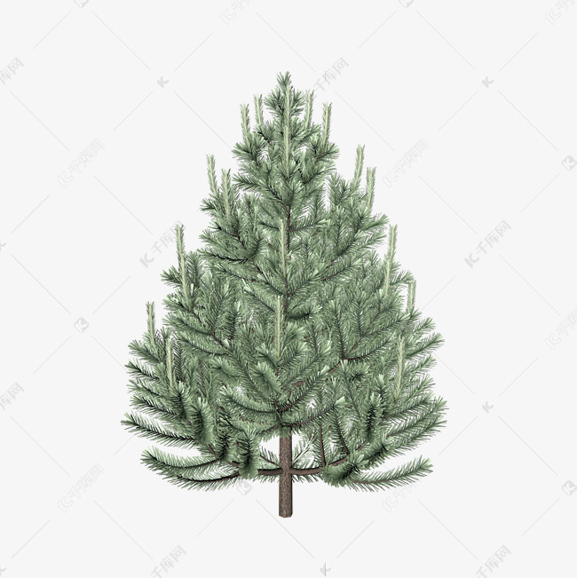 大树松树素材图片免费下载-千库网