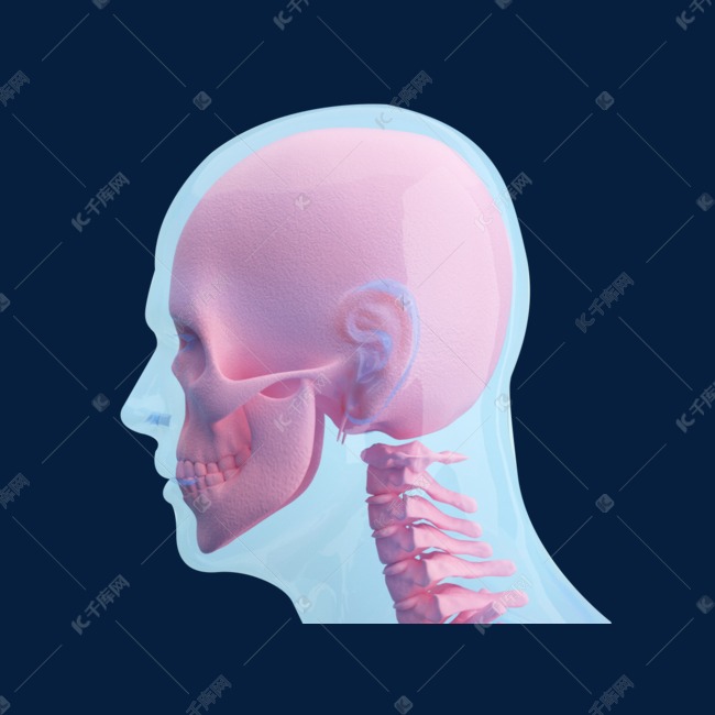 头部骨人体头骨素材图片免费下载-千库网