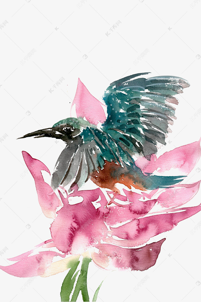 展翅的翠鸟素材图片免费下载-千库网