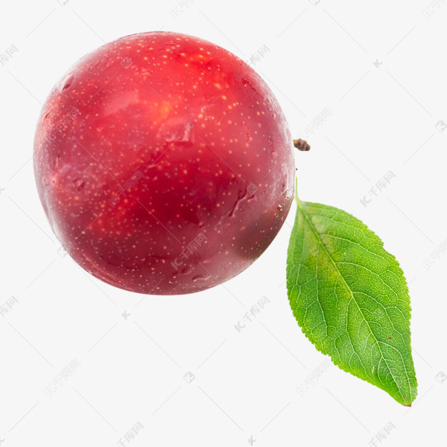 李子红李素材图片免费下载-千库网