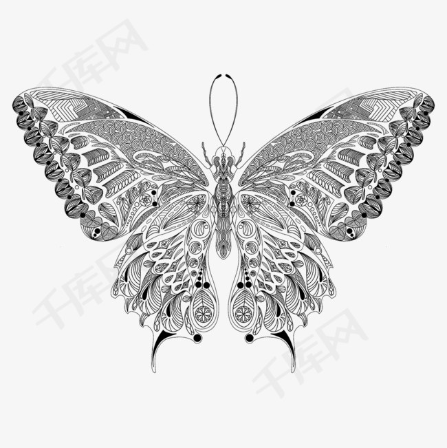 线性风格线条画蝴蝶填色本素材图片免费下载-千库网