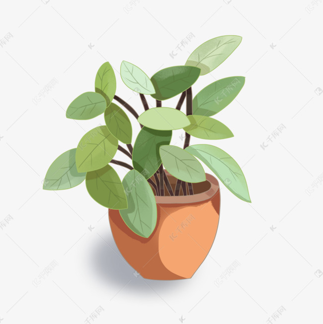 花盆里的宽叶立体盆栽素材图片免费下载-千库网