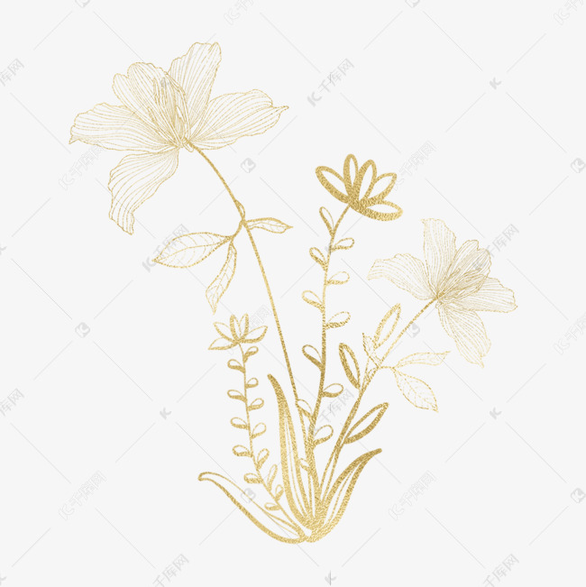 花草金色线稿花卉素材图片免费下载-千库网