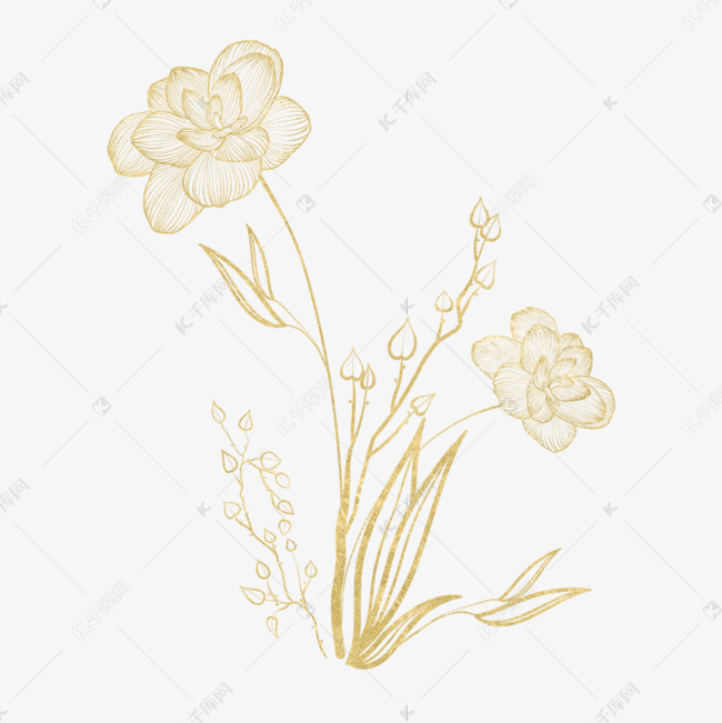 金色植物线稿花卉素材图片免费下载-千库网