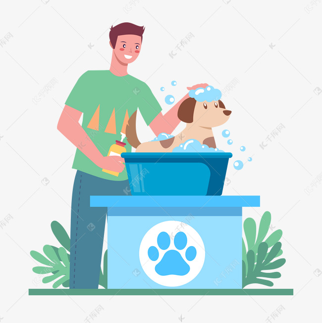 矢量扁平风宠物美容医疗护理素材图片免费下载-千库网